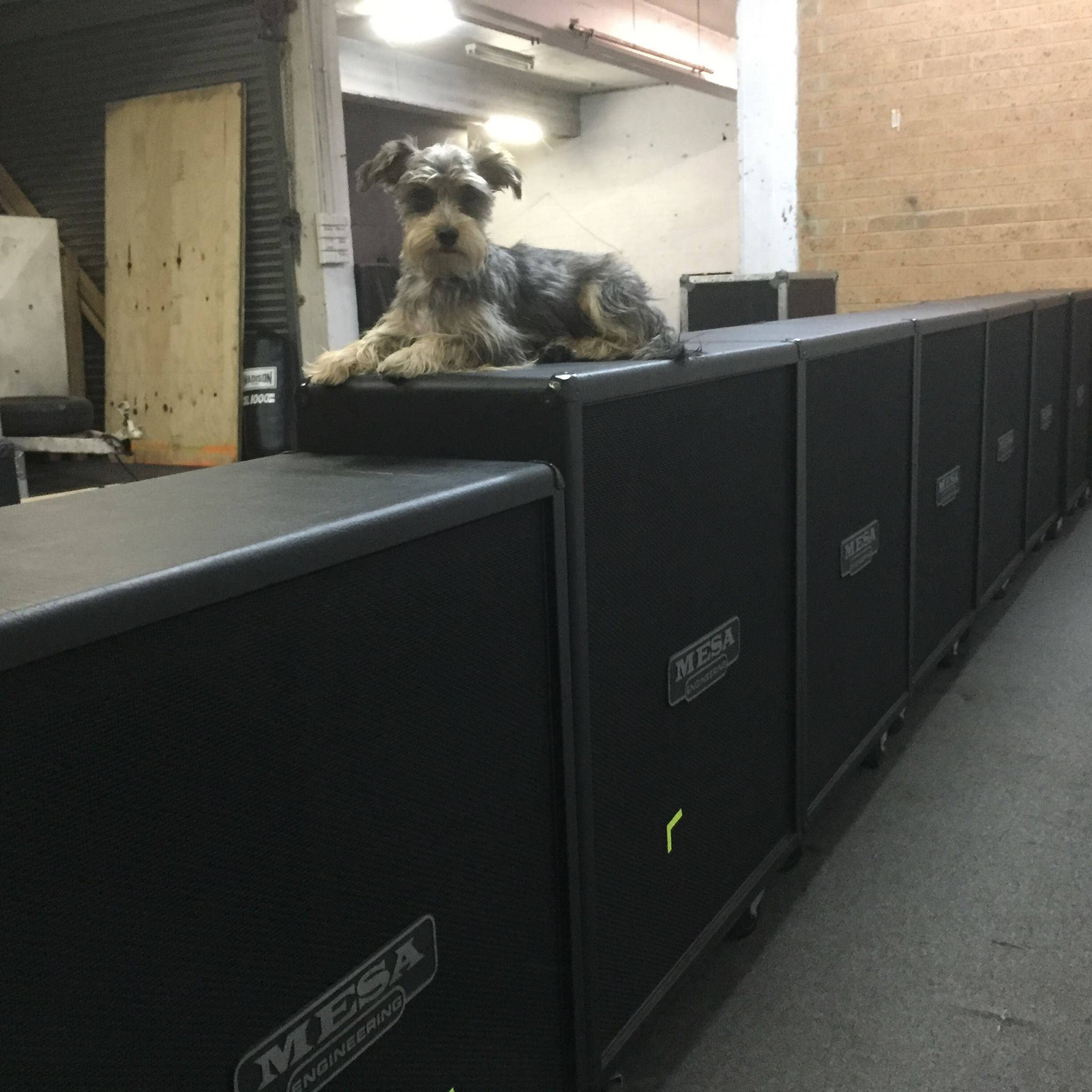 About Melbourne Backline Hire