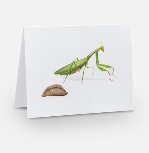"Praying Mantis" Card | MADMYSHA