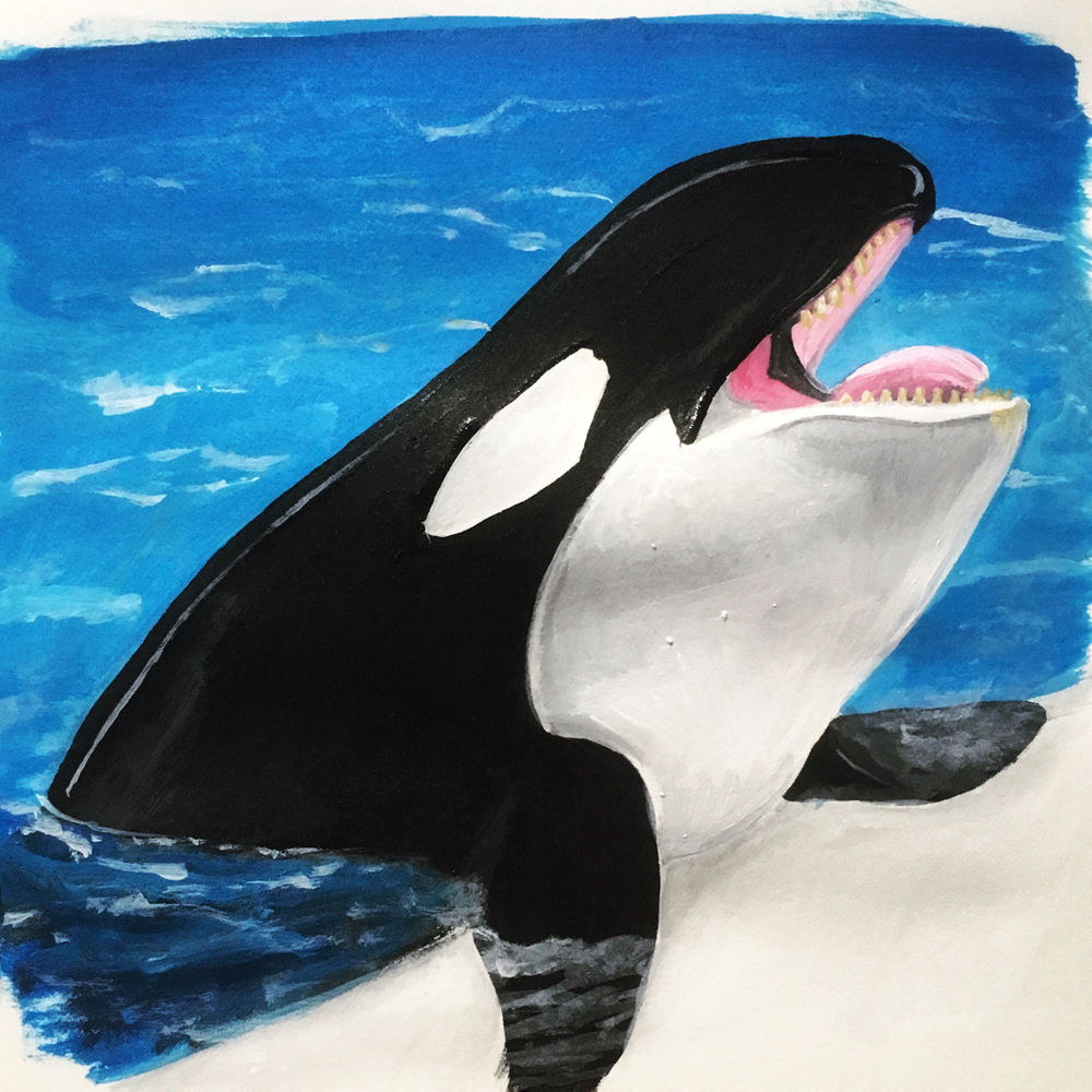 When did SeaWorld first open?