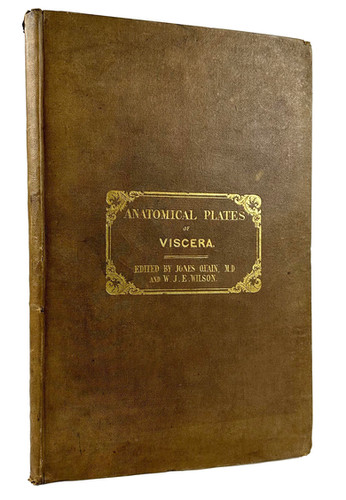 Quain, The Viscera of The Human body, 1840 | Patrick's Rare Books