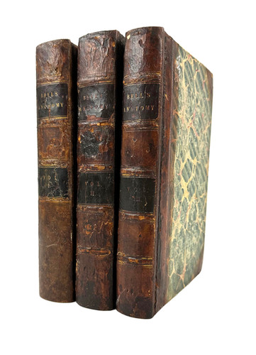Bell, The Anatomy and Physiology of the Human Body, 1829 | Patrick's ...
