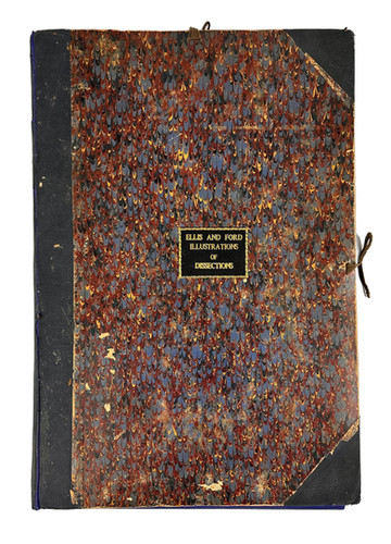 Ellis and Ford, Dissections in a Series of Original Coloured Plates ...