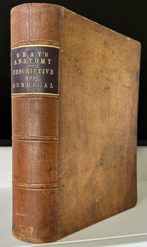 Gray’s Anatomy, 1859, First American Edition | Patrick's Rare Books