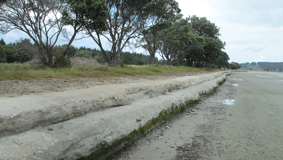 Davis Coastal Consultants - Coastal Engineering & Planning | Auckland