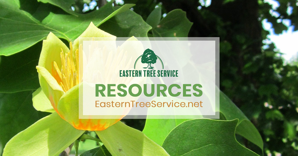 RESOURCES | Eastern Tree Service