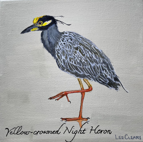 Fisher of the Night by Lee Cleary | SHM