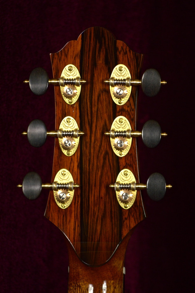 SJ #100 Anniversary | Keystone Stringed Instruments