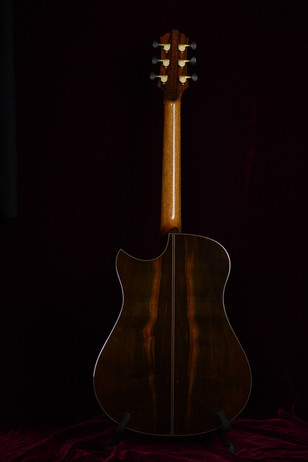 Custom Mod D for Shanghai | Keystone Stringed Instruments