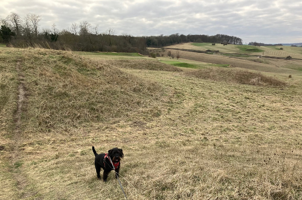 Walking amongst the barrows