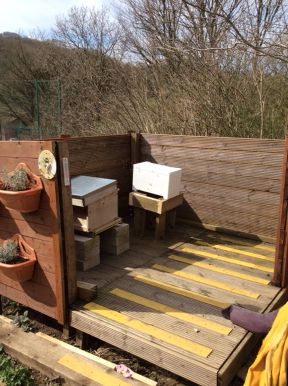 Queen Sheila arrives at Brook Green