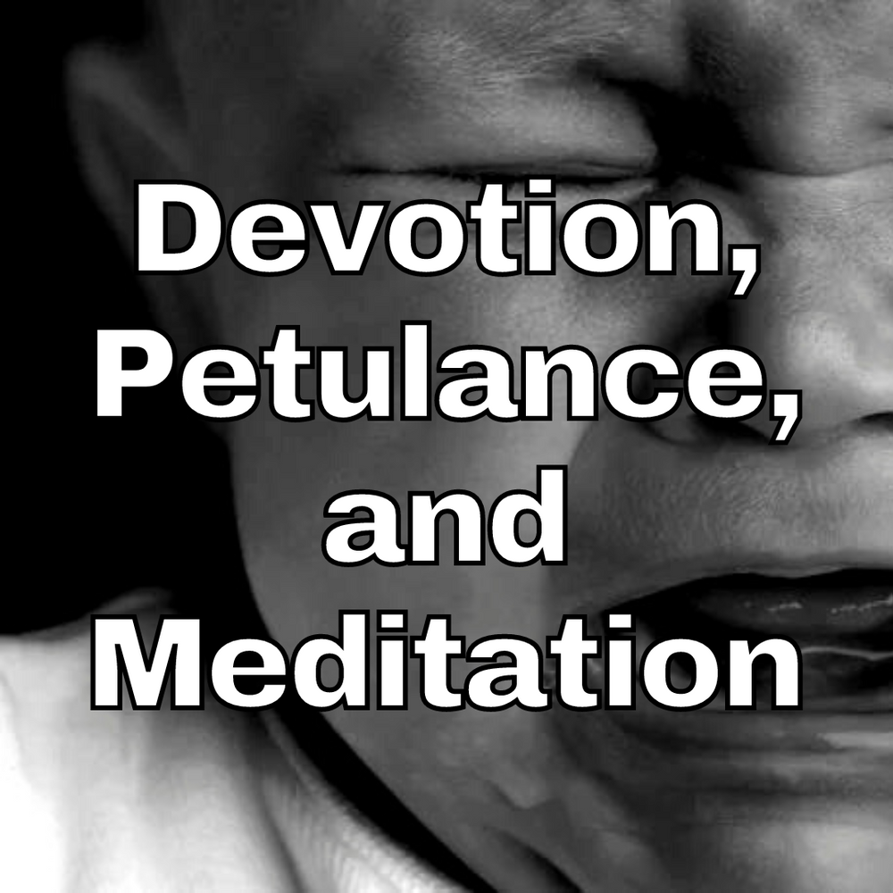 Devotion, Petulance, and Meditation - 25nov22