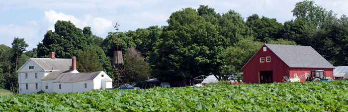 Ives Farm