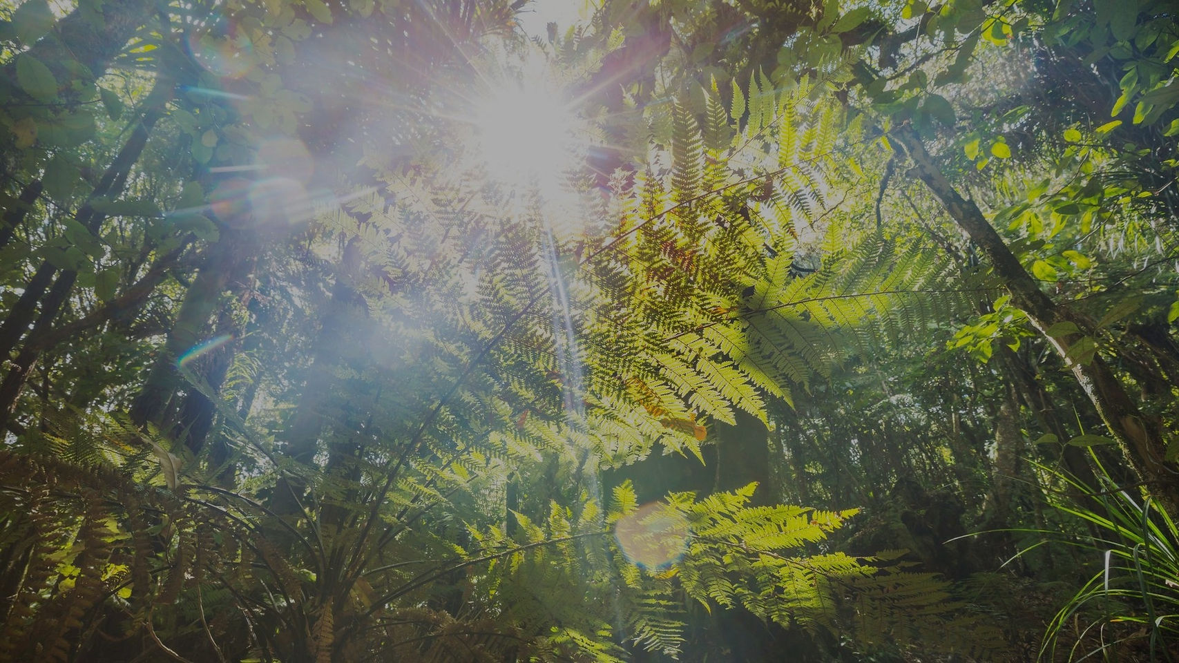 Stories of Active Hope | Tourism CoLab