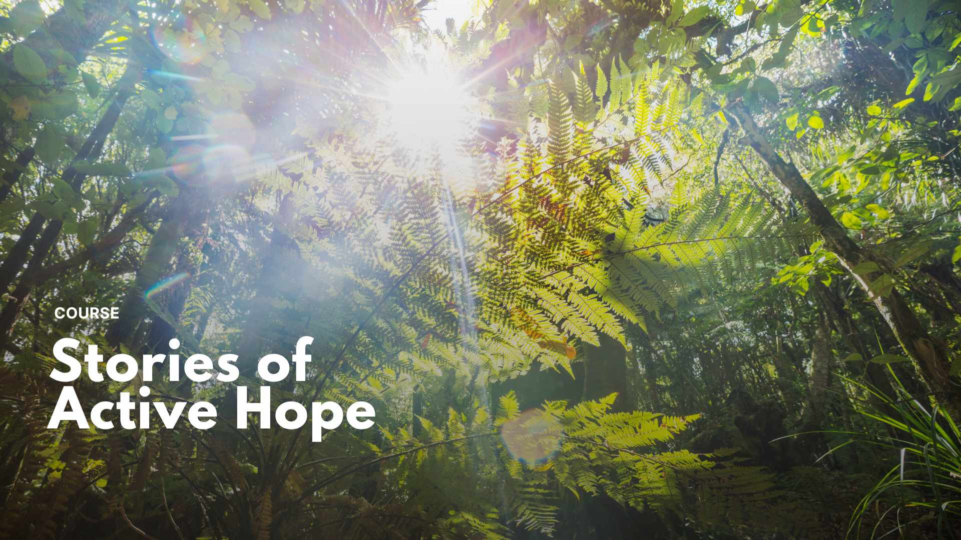 Stories of Active Hope | Tourism CoLab