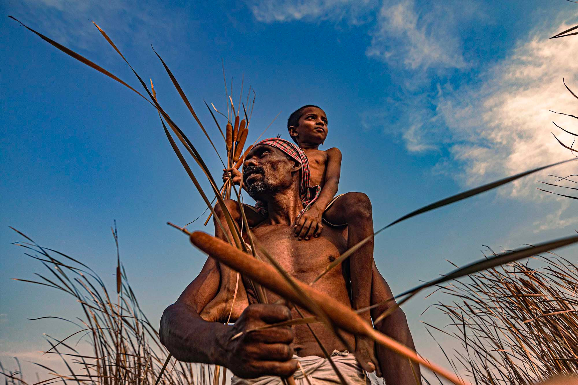 ANJAN GHOSH | The Pictorial List