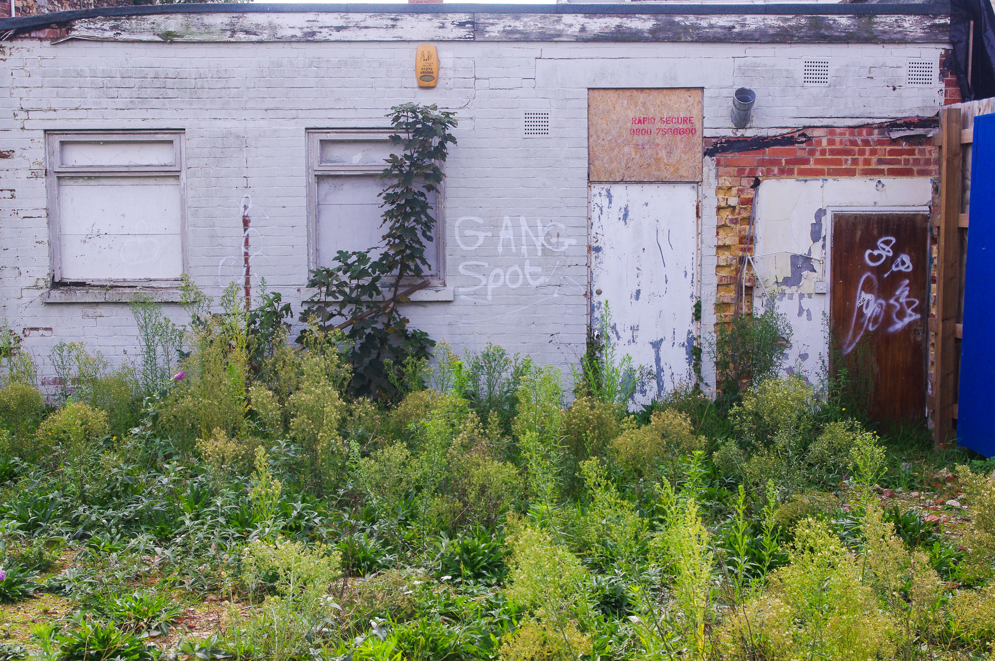 IN CONVERSATION WITH RYAN DODD