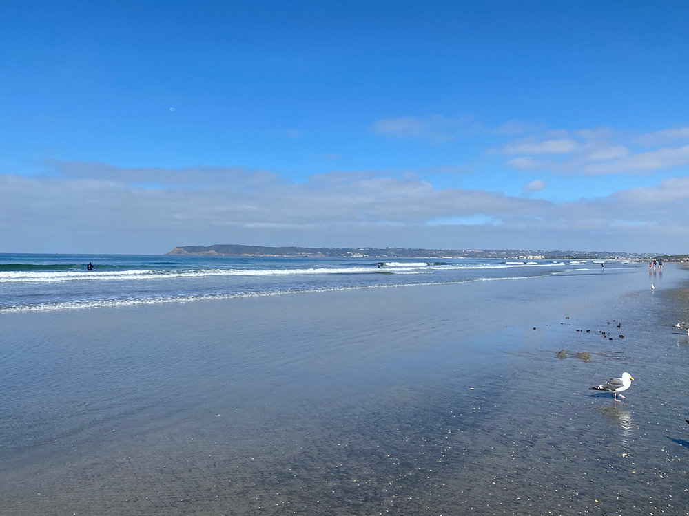 Things to Do on Coronado Island
