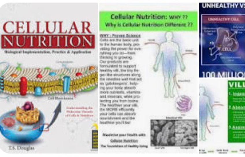 What Is Cellular Nutrition