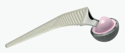 Hip Prothesis | ortho