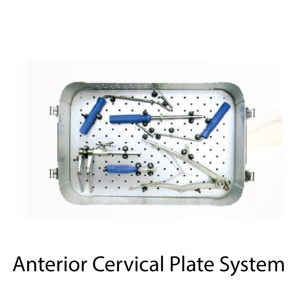 Spine fixation system | ortho