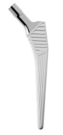 Hip Prothesis | ortho