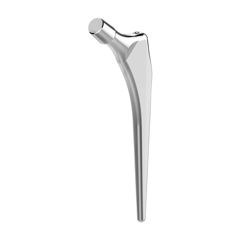 Hip Prothesis | ortho