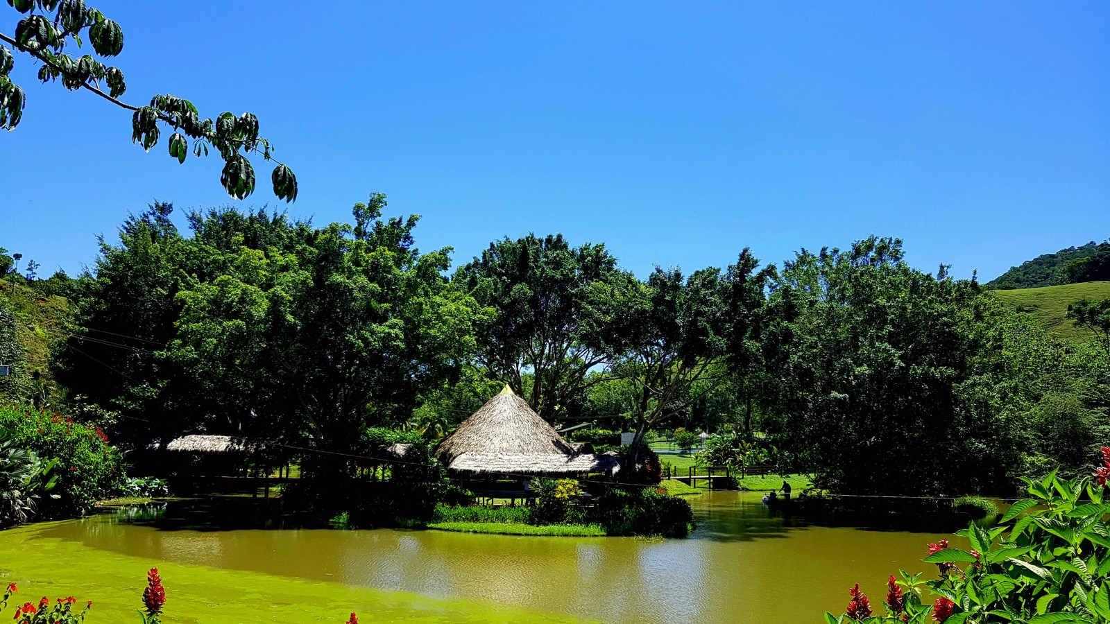 Hotel in Doradal, between Rio Claro and Hacienda Napoles, Colombia Raf