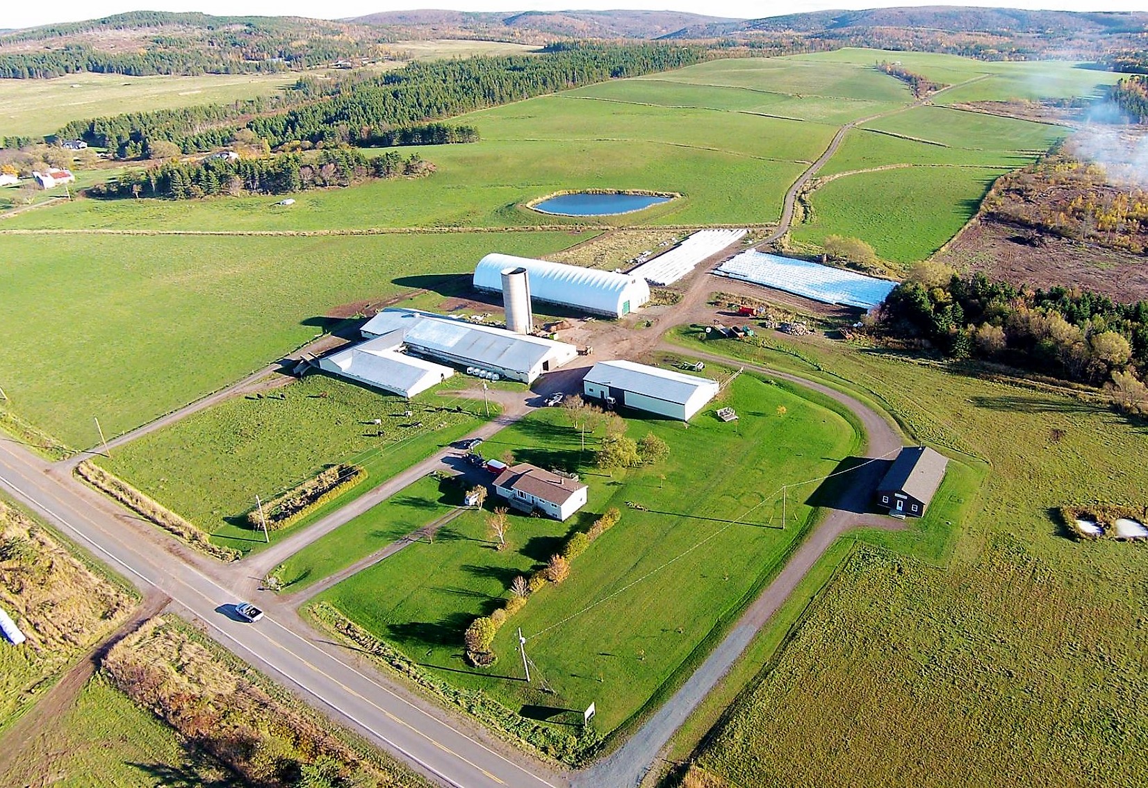 Grass-Fed Organic | Cheese & Milk | Cows by the Sea