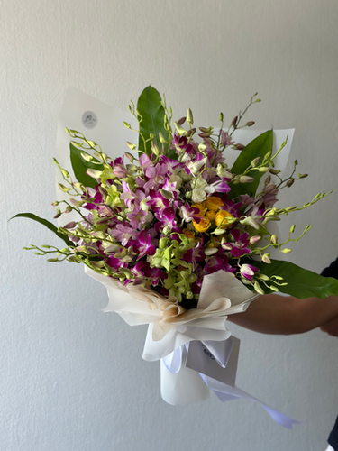 Dendrobium Delight | Neptune Florist