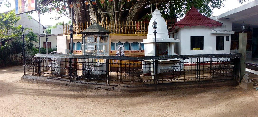 Raddolugama Buddhist Association | Official Site