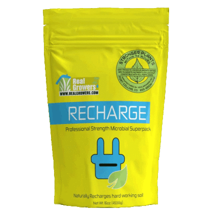 Real Growers Recharge - Natural Plant Growth Stimulant | PJs Plants ...