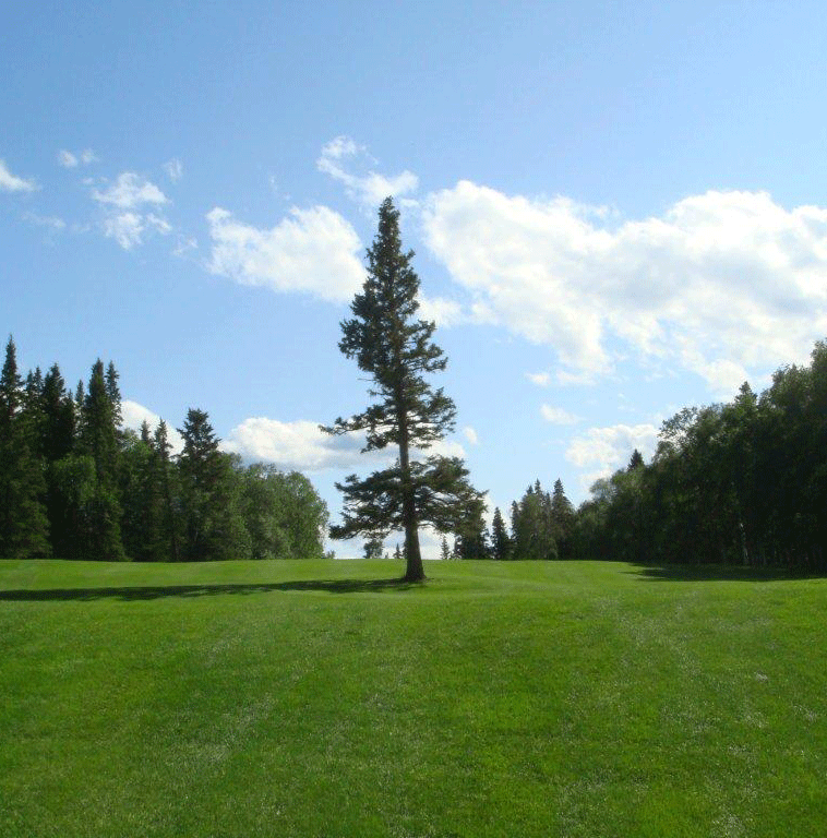 Waskesiu Golf Course | Prince Albert National Park Saskatchewan