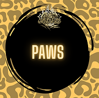 Teams | Chiltern Cheetahs