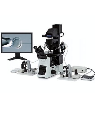 Products & Services | PULSE SCIENCE