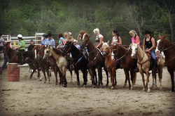 HORSE EVENTS | reese-ranch-rodeo