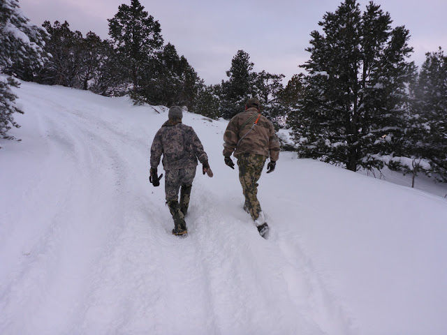 Weekend Wonderful- Cougar Hunt 2018