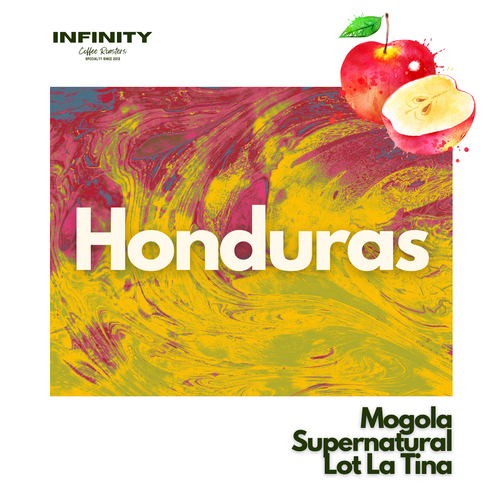 Honduras Mogola Supernatural Lot La Tina | Infinity CR