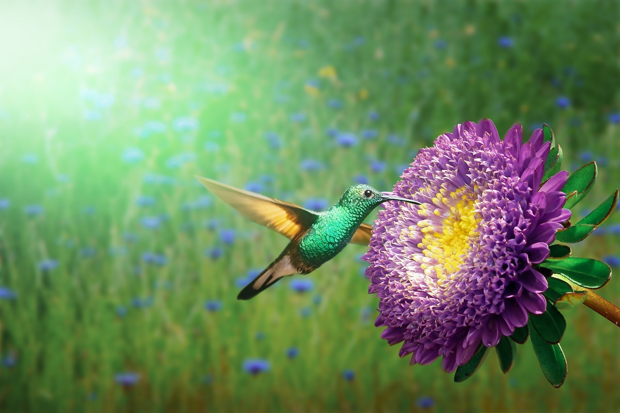 The Healing Power of Humming