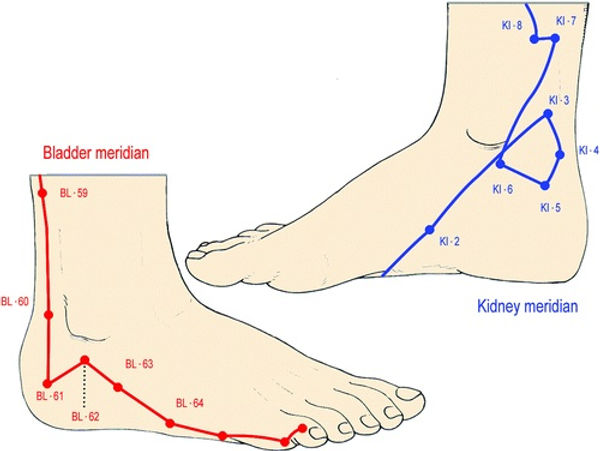 Acupressure for Bladder Issues