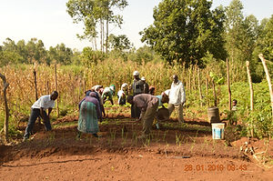 Home | Sustainable Village Resources