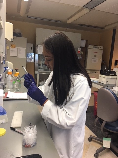 OPPORTUNITIES | Sheldon BTA