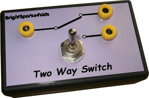 BrightSparks Two Way Switch module | BRIGHTSPARKS