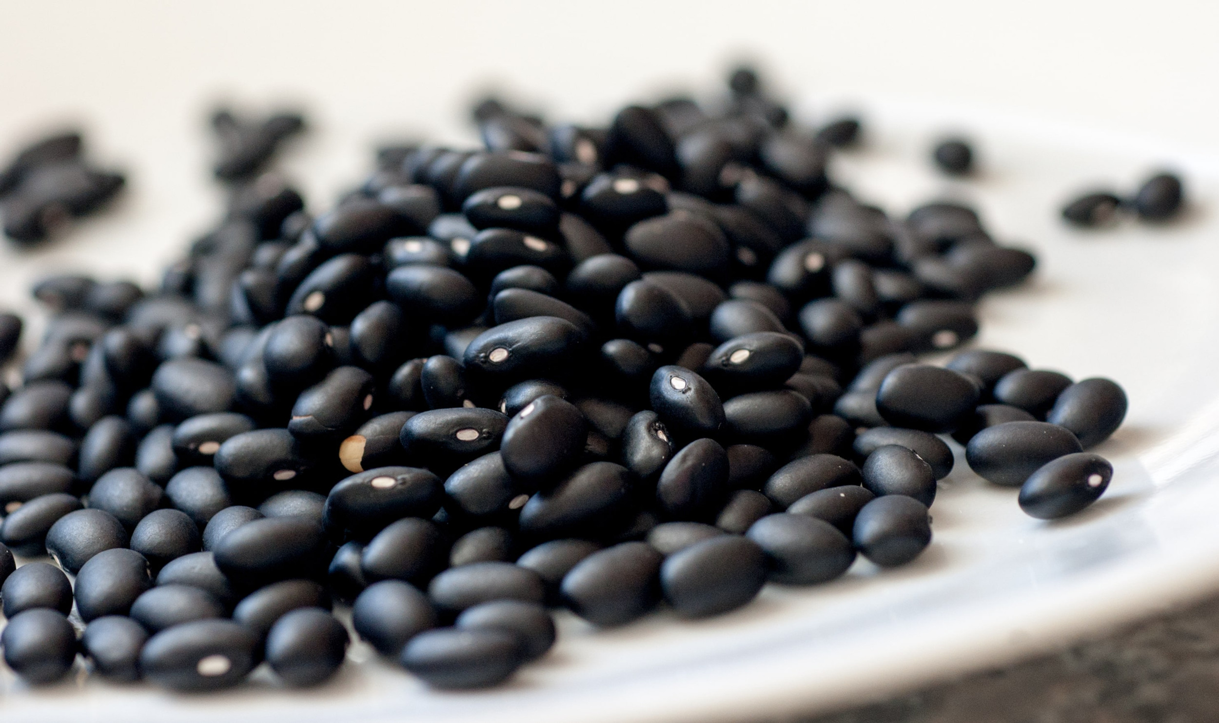 Black Beans | SpringHausagro.com