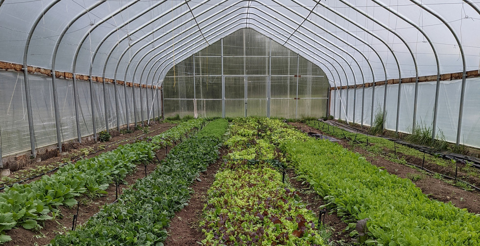 about | East of Eden Farm