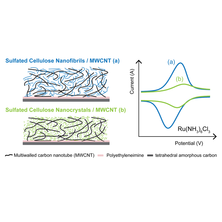 Functionalized Nanocellulose/Multiwalled Carbon Nanotube Composites for ...