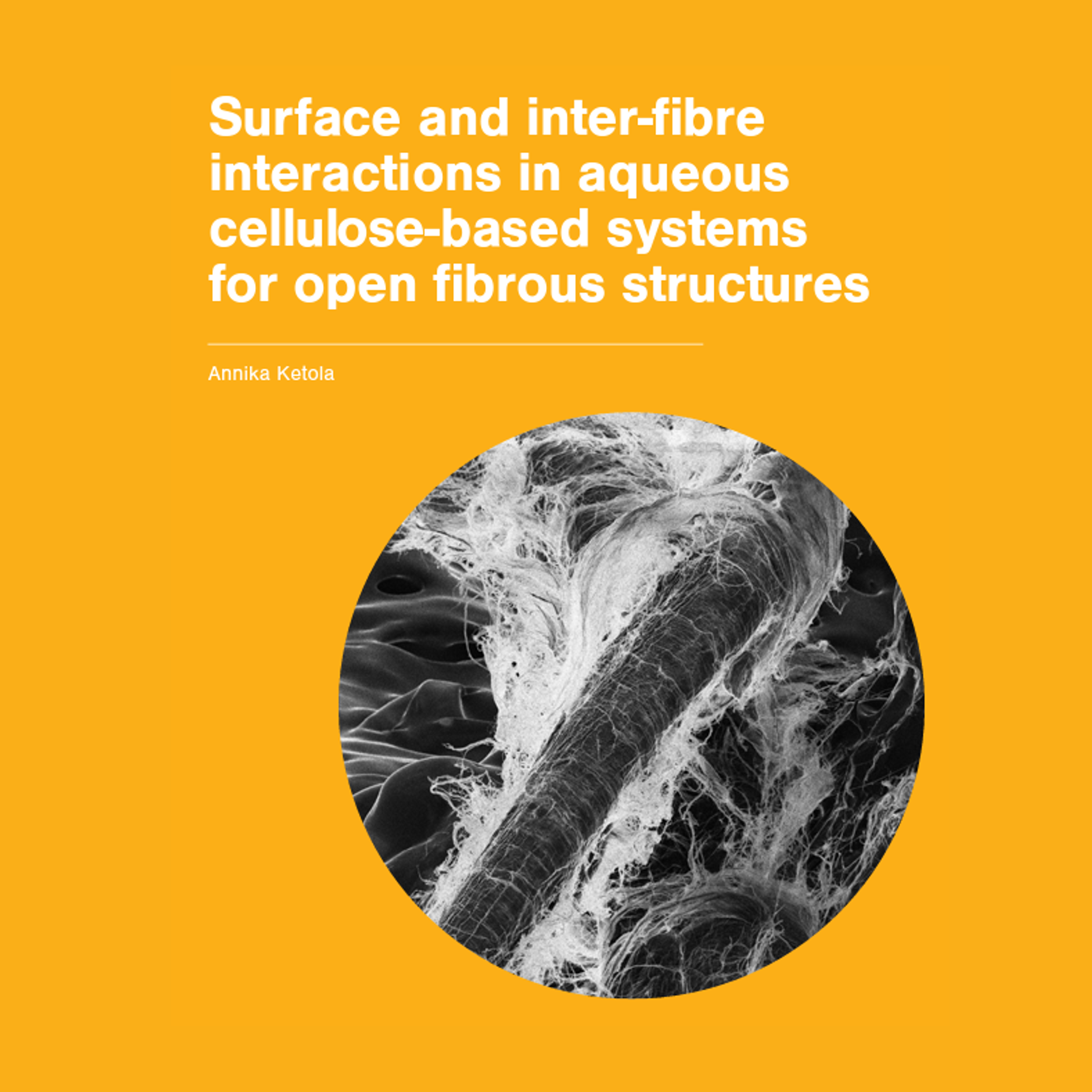 A. Ketola: Surface and inter-fibre interactions in aqueous cellulose ...