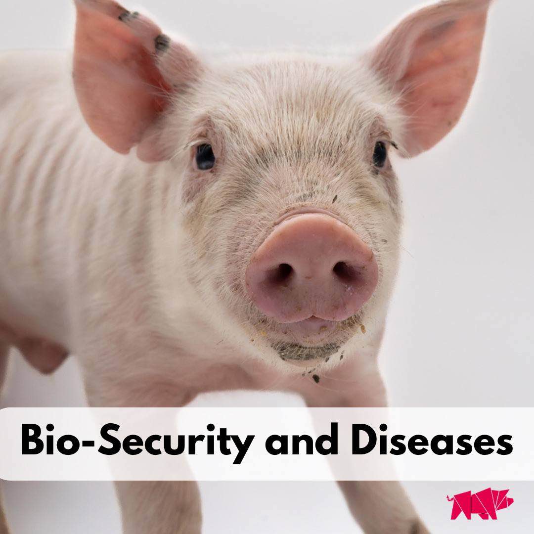 Disease Information and Preventative Measures