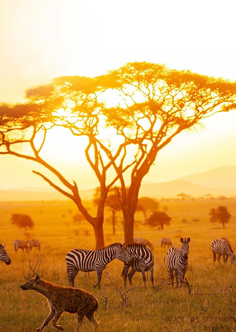 NJIRO LEGACY: OFFICIAL WEBSITE