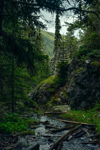 Hidden In The Stillness - Digital Download | Nicky Scott Photo