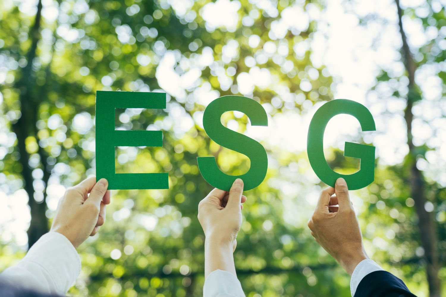 ESG Investing Trends to watch in Sustainable Finance | Straits ...